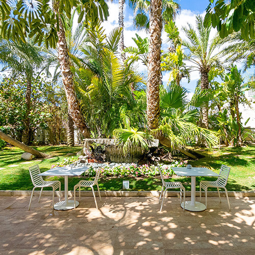 Hotel Areca | Torrellano, Elche | Official Website